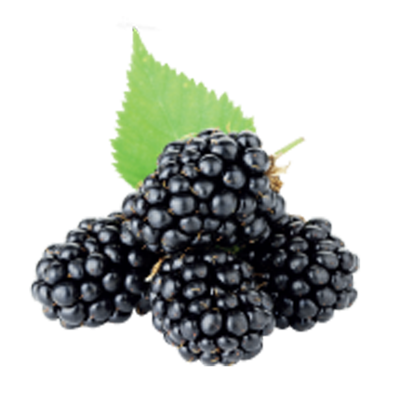 Mures - Saveur Du Congo