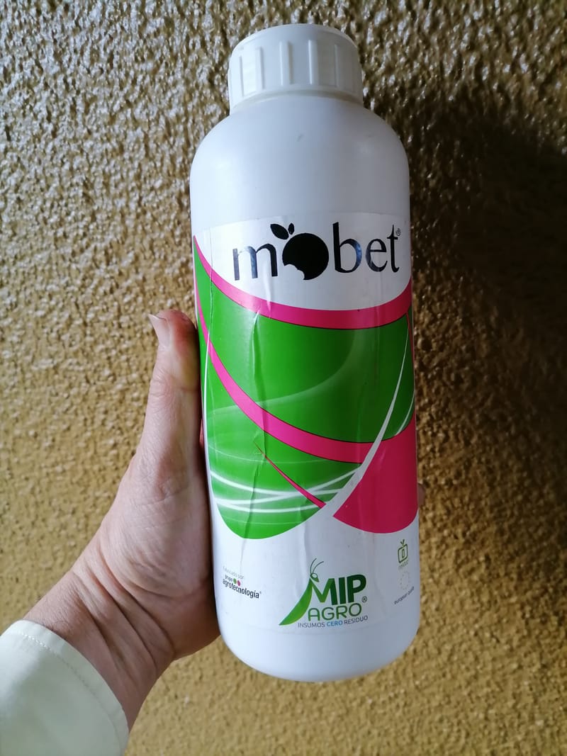 Mobet x Litro - RoceliLtda