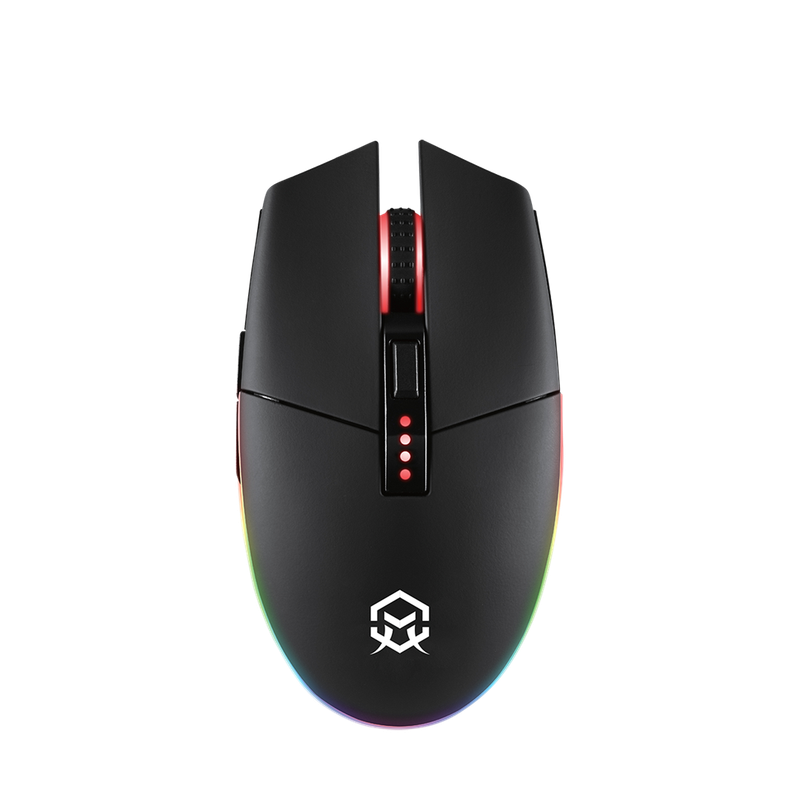 ROGUEWARE GM100 WIRED RGB GAMING MOUSE