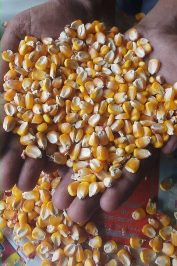 Commodities - Sandre Commodities