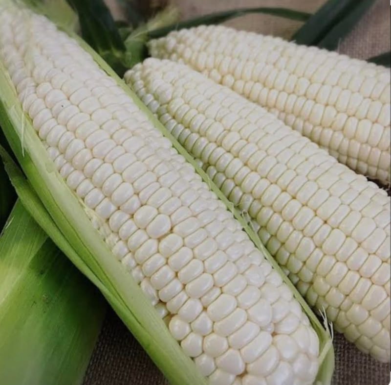 Commodities - Sandre Commodities