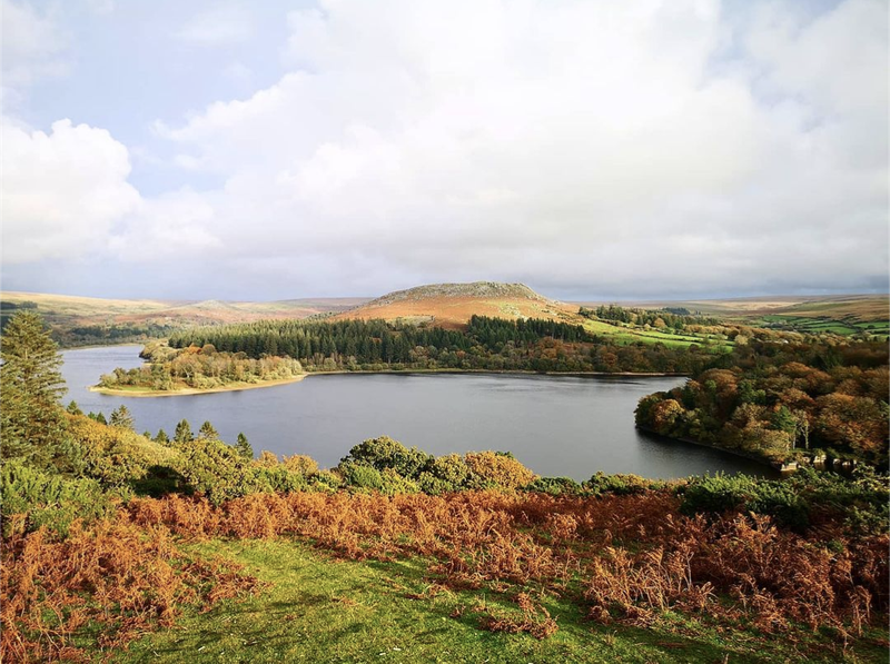 Burrator Reservoir - The White Thorn