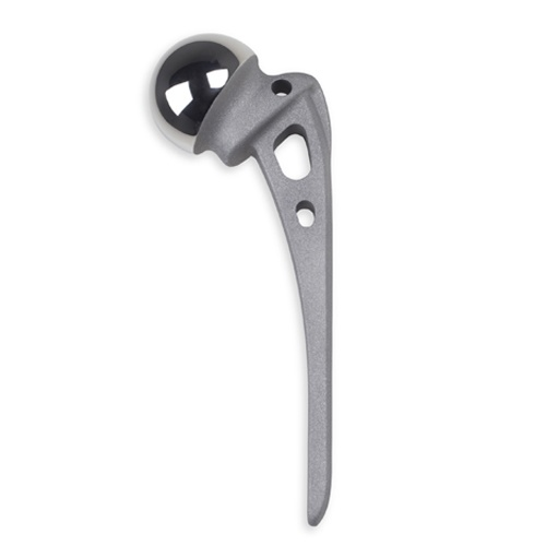 Prótesis Austin Moore - DISORT