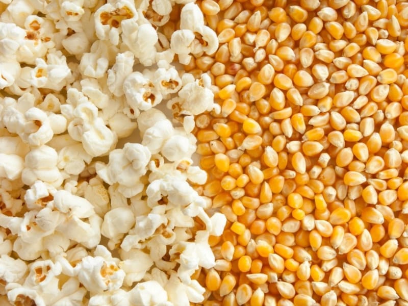 POPCORN - Lander Agribusiness
