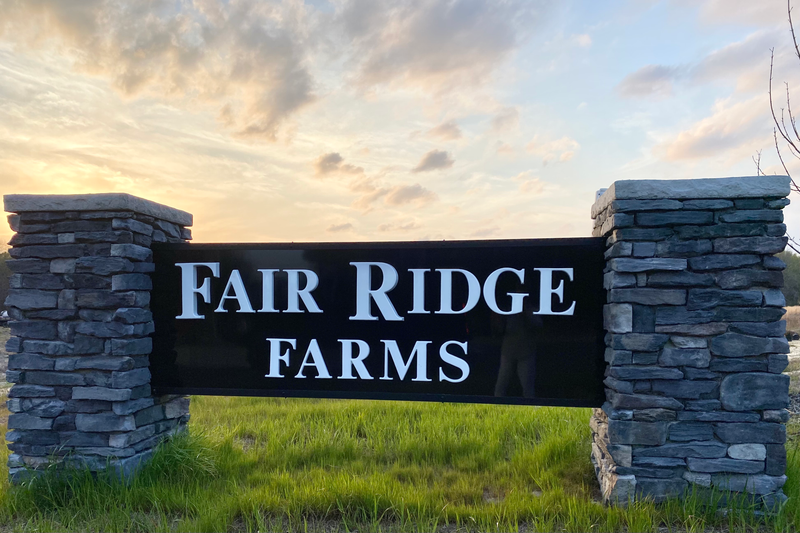 What's for Sale - Fair Ridge Farm