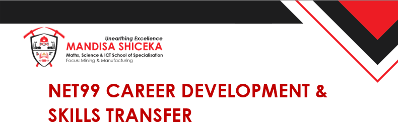 Net99 Career Development & Skills Transfer. - Mandisa Shiceka SOS