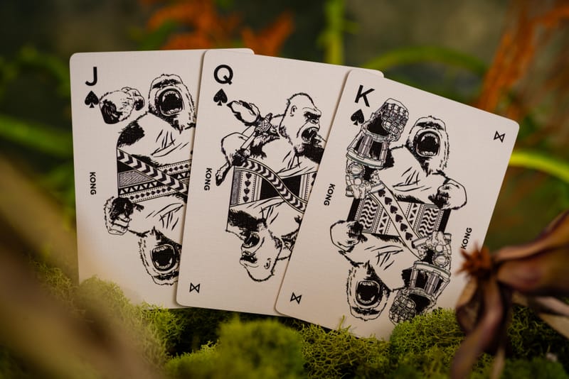 Room One Cards | Playing Cards Company
