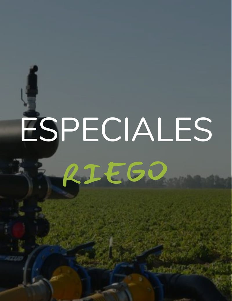 ESPECIALES - PySA