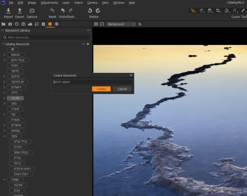 כיצד לגשת לבניה של עץ תגיות ב CaptureOne - Guy Geva