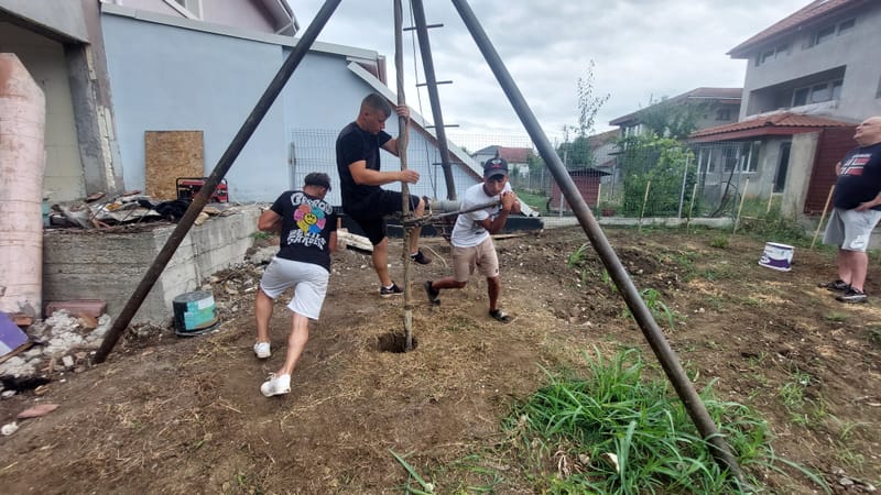 FORAJE PUTURI PRETURI 2024 - FORAJE PUTURI PRET DE LA 130LEI M/L