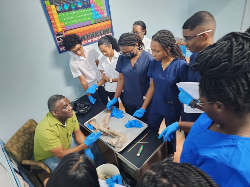 Summer Medical Sciences 2025 - MRC Family School