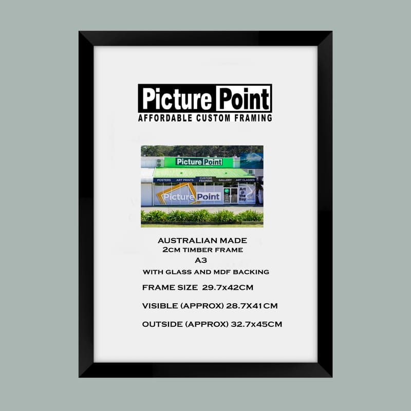 Picture Frames - Picture Point Framing and Art @ the Bay