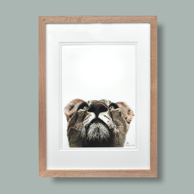 Framed Pictures - Picture Point Framing and Art @ the Bay