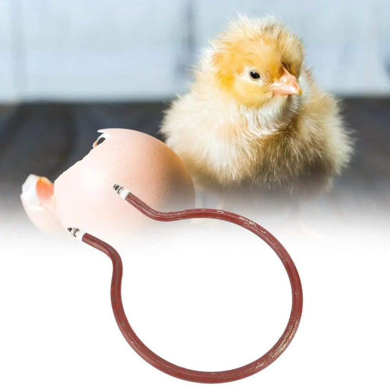 100W 220V Ring Round Shape Heater Effective For Egg Incubator Brooder ...
