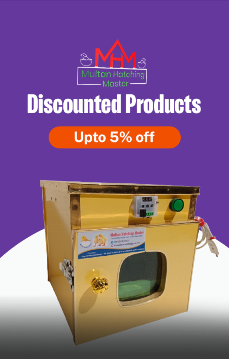 40 To 50 Eggs capacity Manual Incubator - Multan Hatching Master