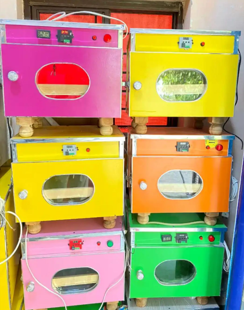 Incubators Manual - Multan Hatching Master