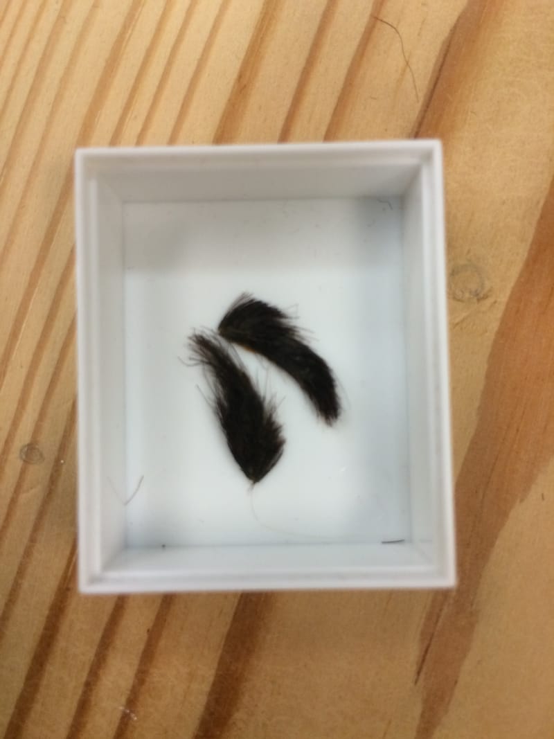 Dr Fawn Moustache when he was Saunders - LARRYSTUFF