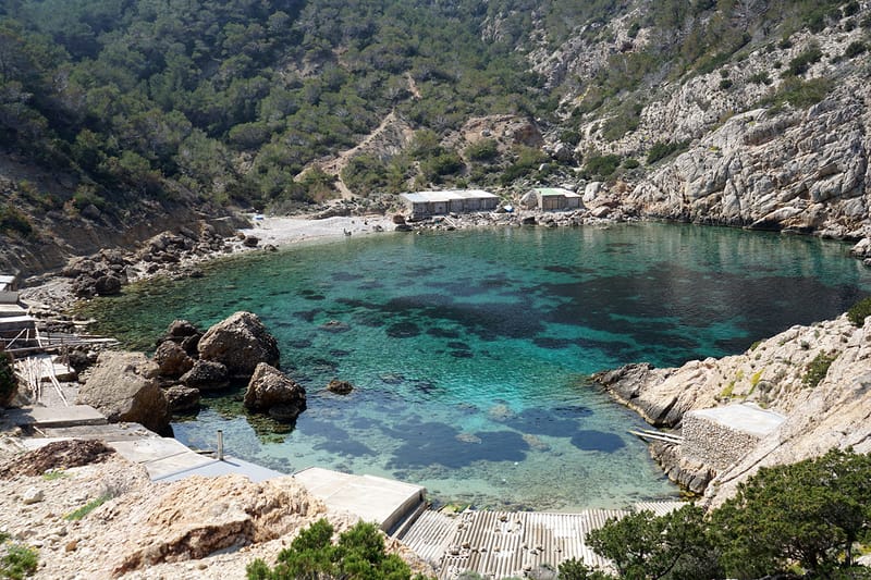 PORTITXOL - The Ibiza Expert