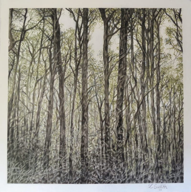 Contact Laura Griffith