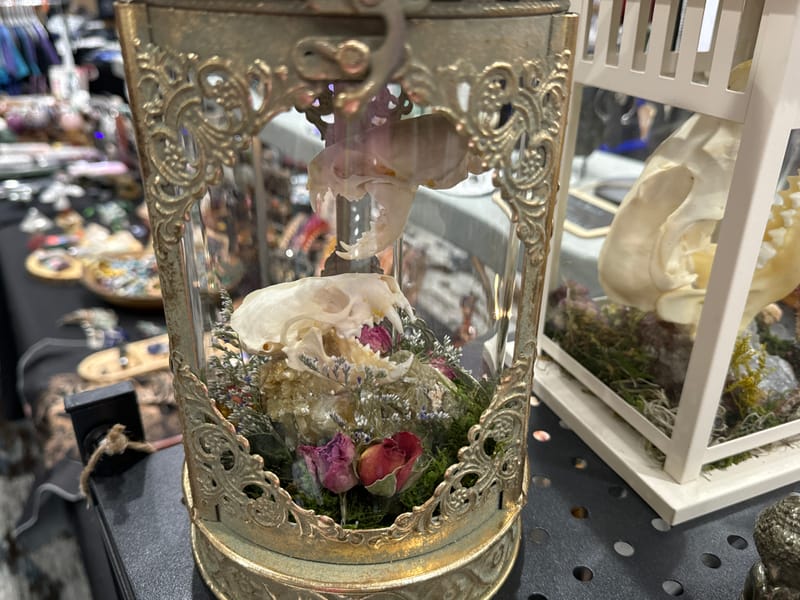 Custom Skull and Crystals - Gemma Lynn's Gems