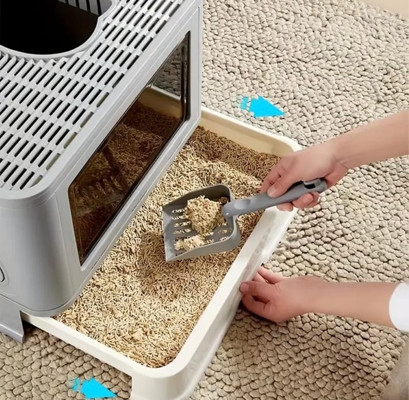 Hygiene - Fabi Design