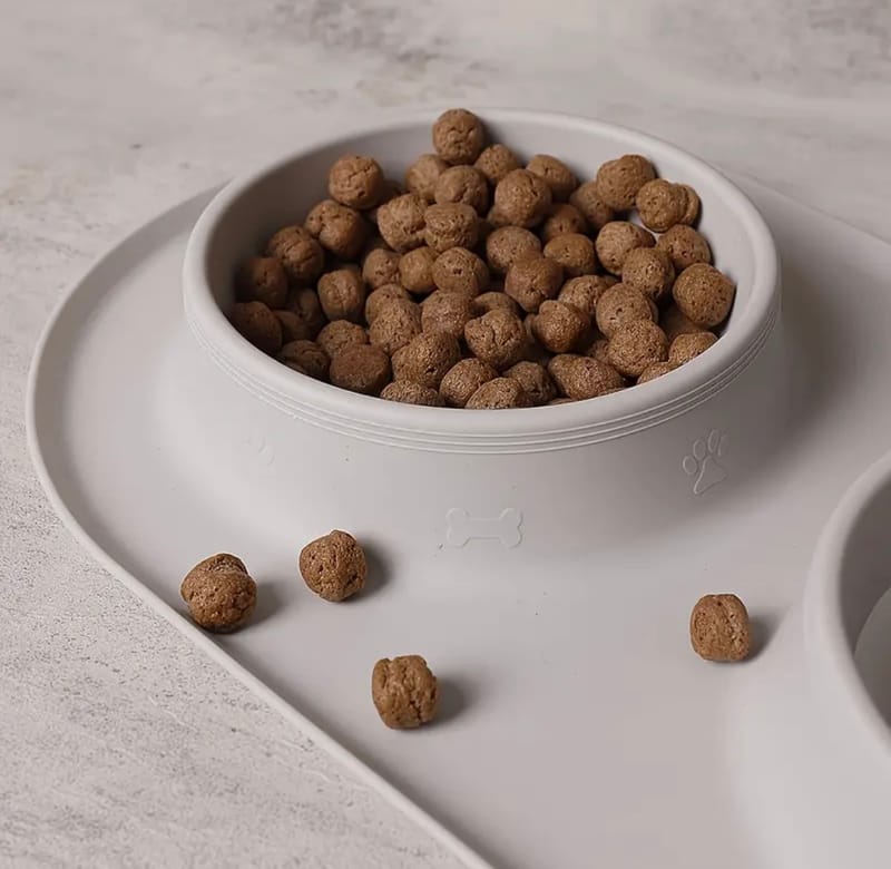 Cat Essentials - Fabi Design