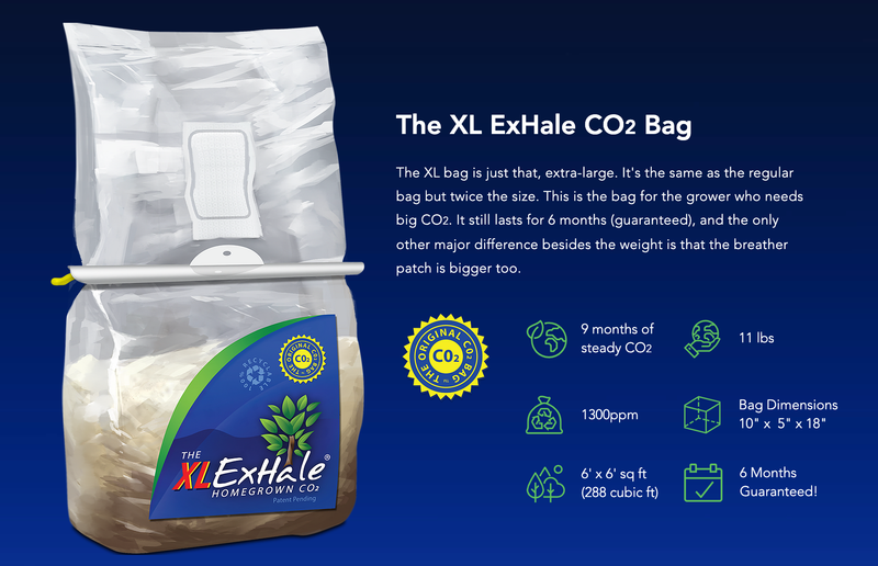 The XL ExHale C02 bag - www.1ststateseed.com
