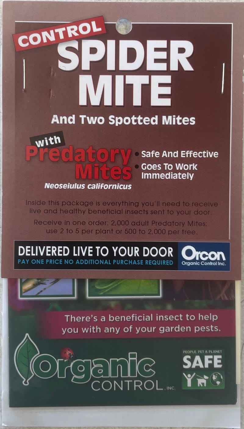 Spider Mite Control w/predatory mites - www.1ststateseed.com