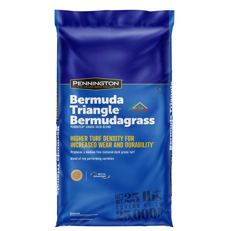 Bermuda Triangle Bermuda Grass - www.1ststateseed.com