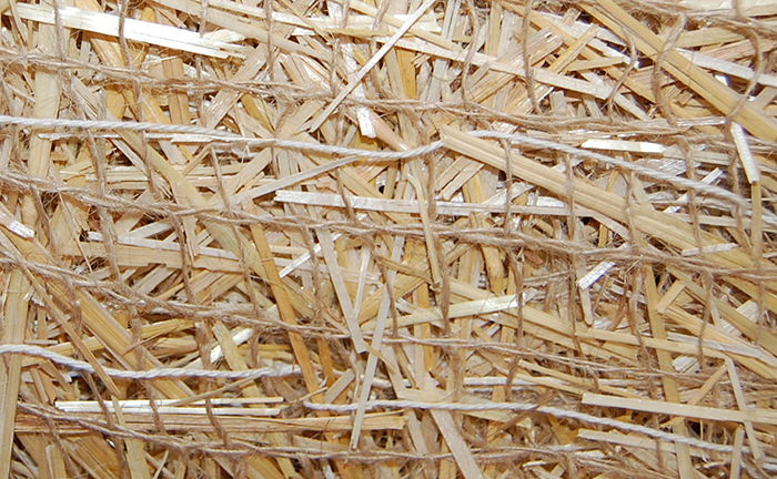 Hanes Geo Platinum Soil Tackifier 3 lb. - www.1ststateseed.com