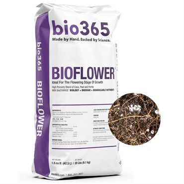 bio365™ BIOFLOWER™ - www.1ststateseed.com
