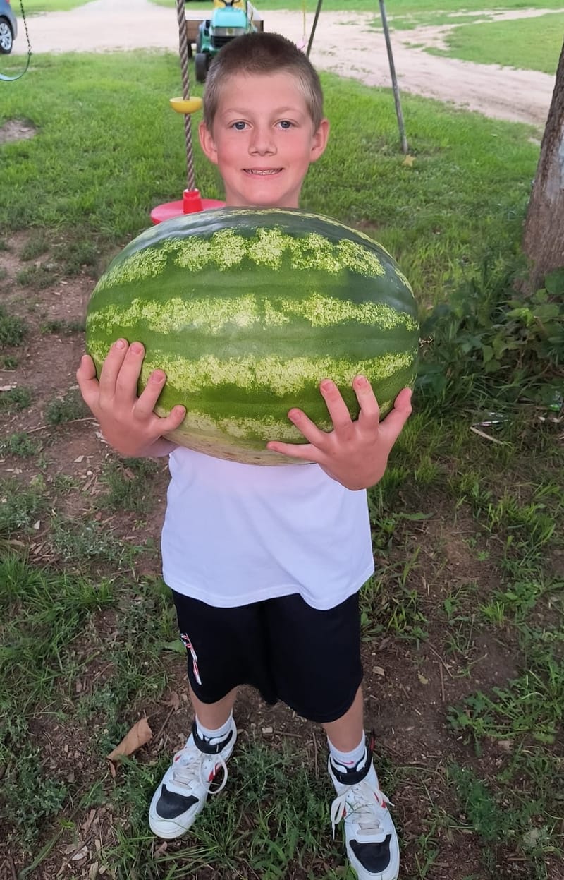 Crooked Row Farm - Experience the Taste of True Freshness