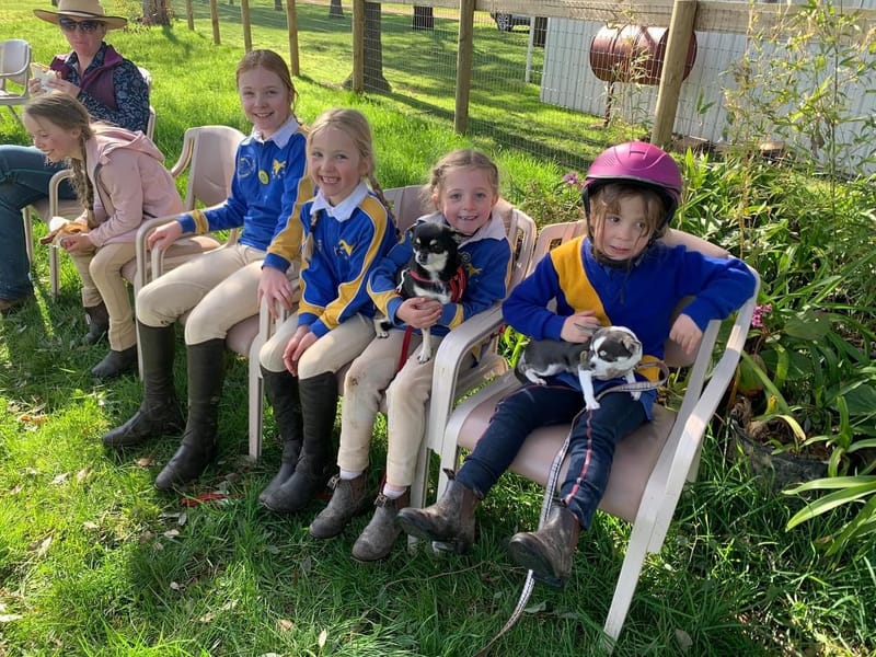 DAY ATTENDANCE - Mansfield Pony Club