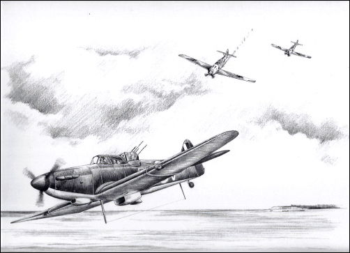 Evasive Action - Various Editions - CCB Aviation