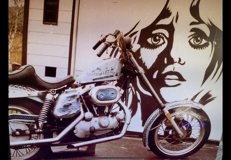 A photo of Chris’ painted garage door art - Christopher Pollari Artist