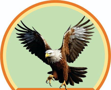 Reform Ghana Platform - Summary - Reformghana