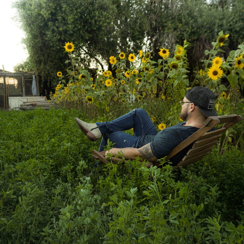 Gustavoadolfovisuals - Make your vision come true