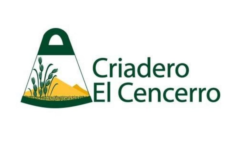 EL CENCERRO - Ground