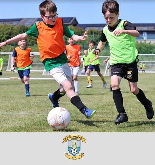 Mini Leagues 2025 - Mini LeaguesPortmarnock AFCBoys & Girls 2017 - 2014