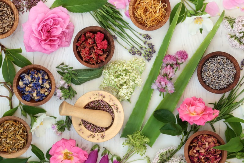 The Rainbow Alchemist - Everyday Herbalism for an Unfiltered You!