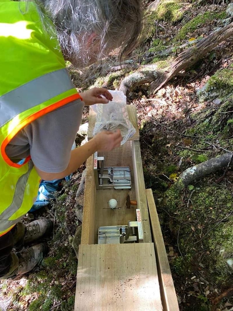 Setting up a new Traps - Gallery image 144 of 357